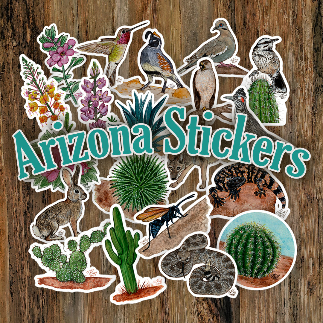 Arizona Stickers – Kimberly Renee's Art LLC